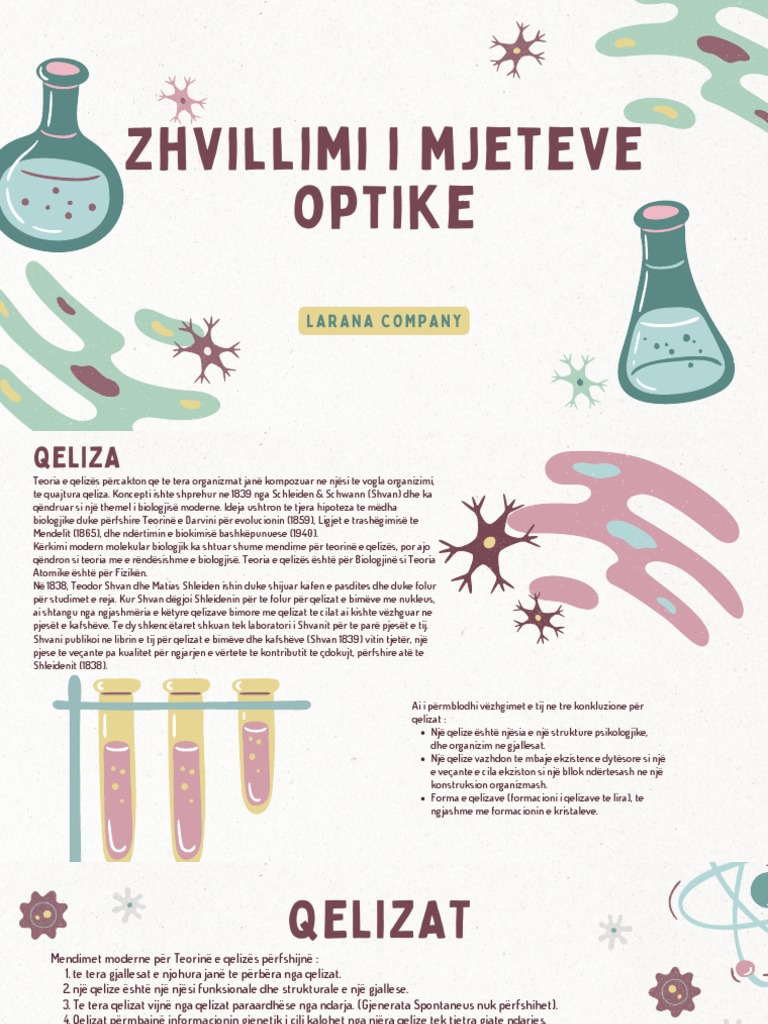 Zhvillimi I Mjeteve Optike | PDF