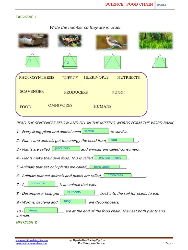 Science - Food Chain | PDF | Herbivore | Zoology