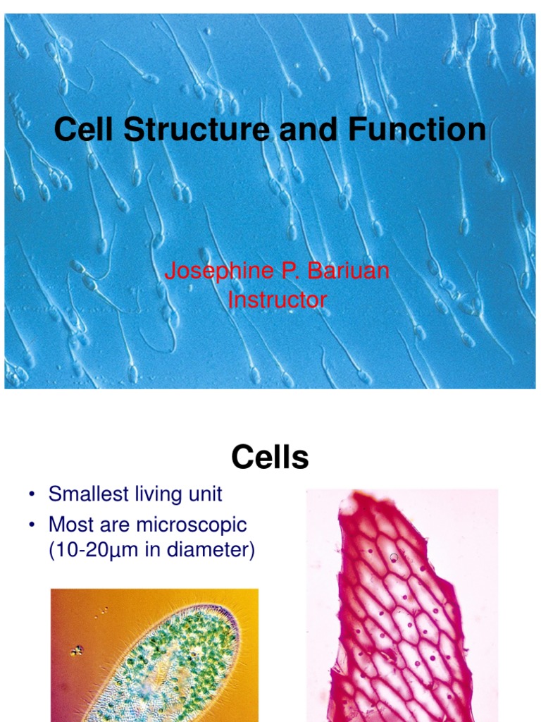 Cell Structure and Function | PDF | Cell (Biology) | Cell Membrane