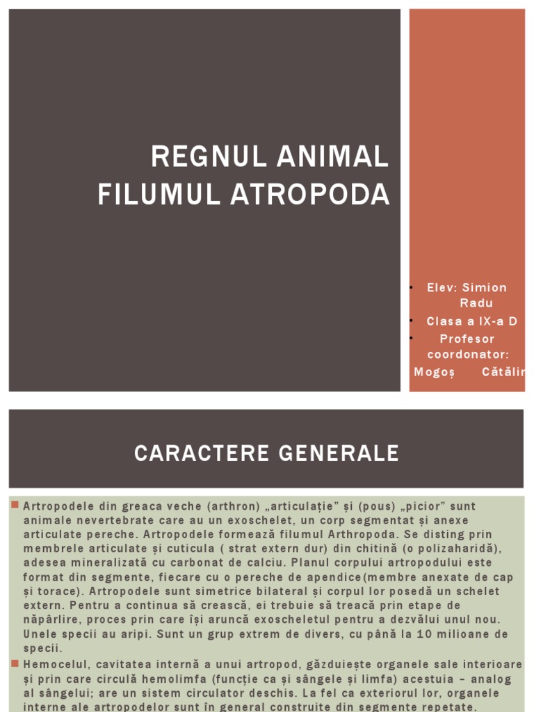Regnul Animal | PDF