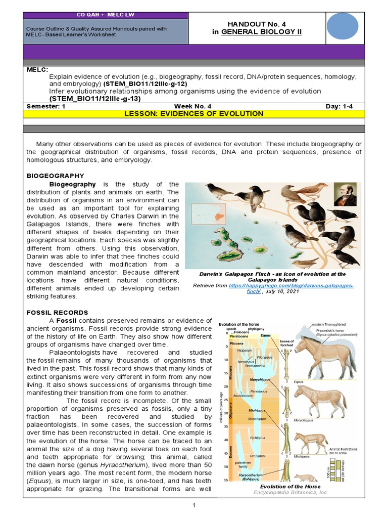 Handout For Week 4 | PDF | Evolution | Organisms