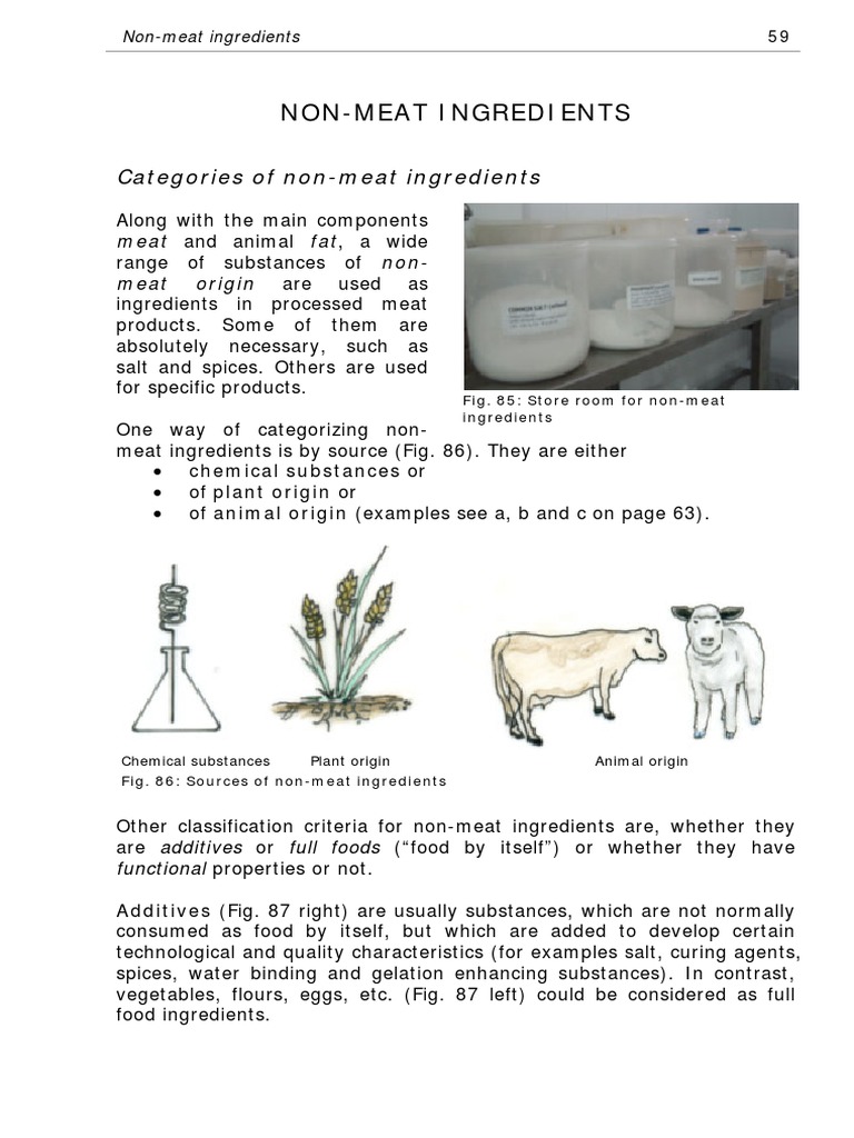 Meat Processing Technology - Non Meat Ingredients 4b | PDF | Gelatin | Meat