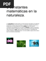 NCTM 2000. Estandares y Procesos. 2023 | PDF | Aprendizaje | Matemáticas