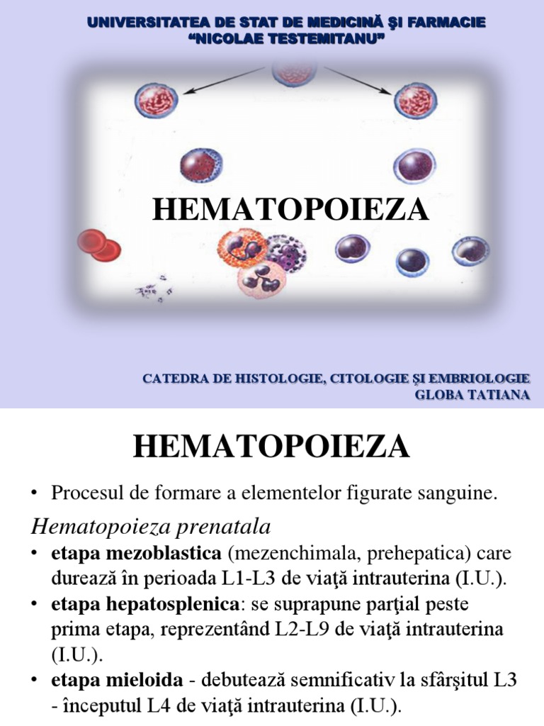 Hematopoieza | PDF