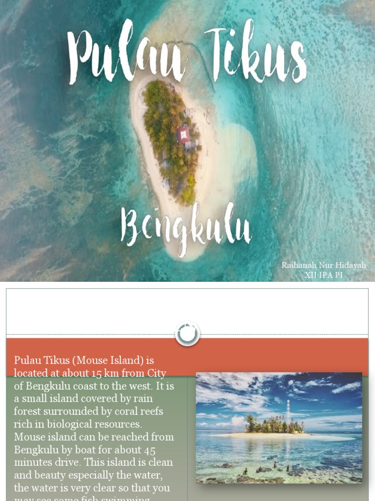 Bing Pulau Tikus | PDF | Home & Garden