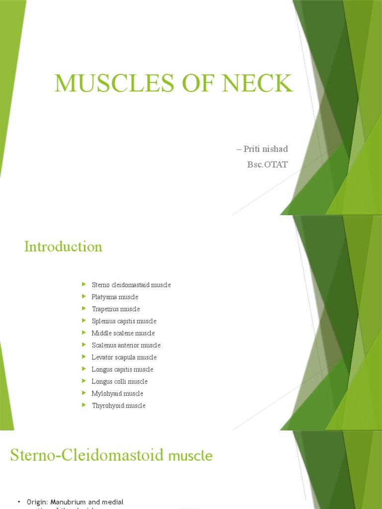 Muscle Of Neck Anatomy Ppt L Pptx Priti Pdf Neck Vertebra