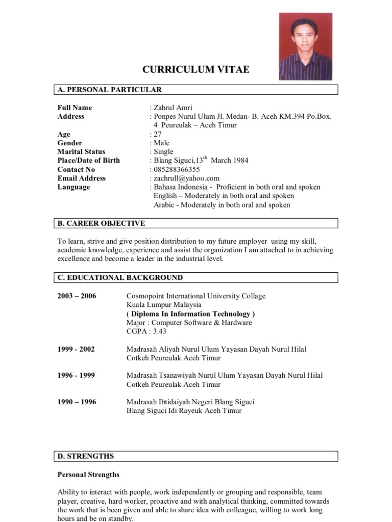 Curriculum Vitae | PDF | Computers | Technology & Engineering