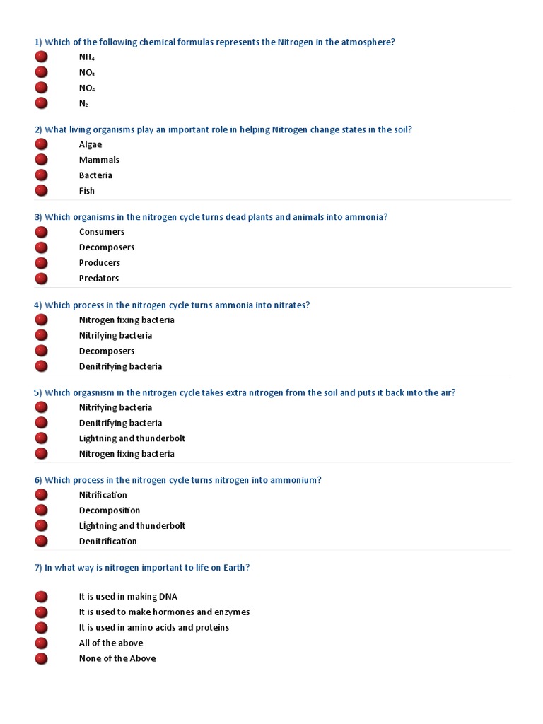 Nitrogen Cycle Questions | PDF