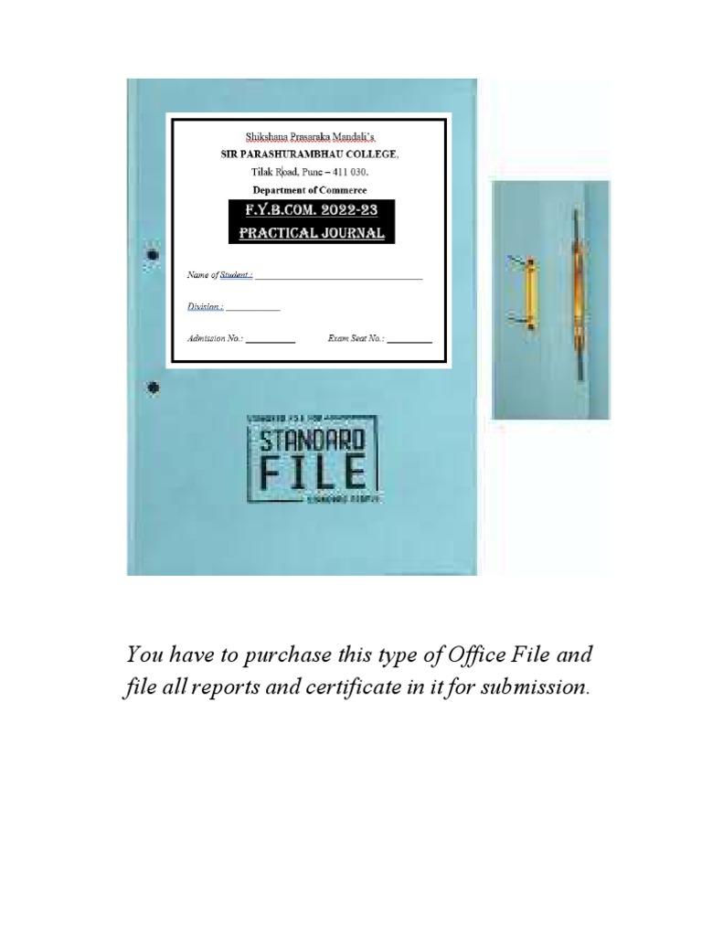 Full Practical File | Download Free PDF | Debits And Credits | Payments