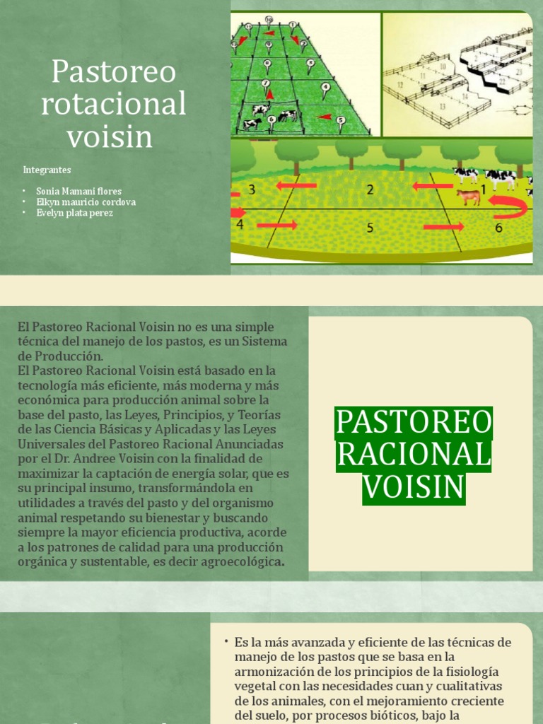 Pastoreo Rotacional Voisin | PDF | Suelo | Naturaleza