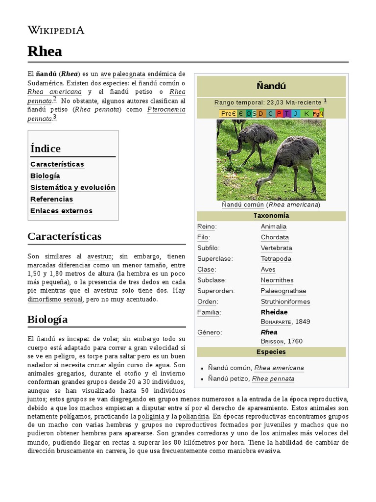 CVBNM | PDF | Aves | Ornitología