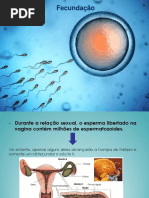 Mapa Mental Fecundacao Humana Lea | PDF | Ciências da Vida | Biologia ...