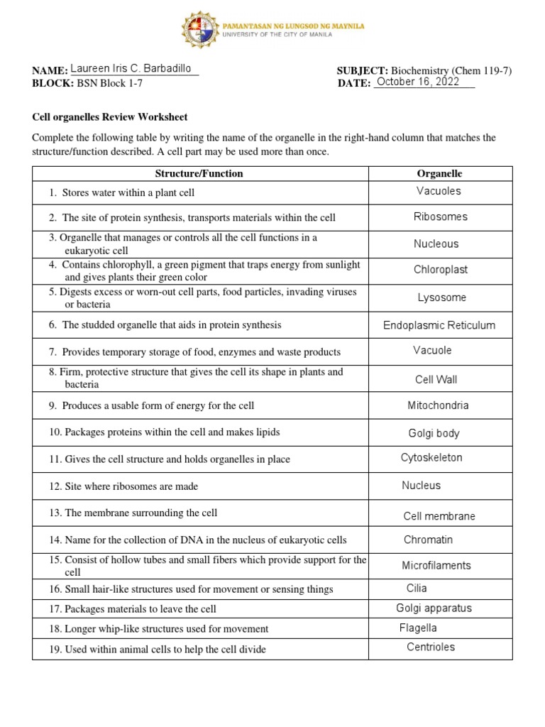 Worksheet No. 1 - Cell Organelle | PDF | Endoplasmic Reticulum | Cell ...