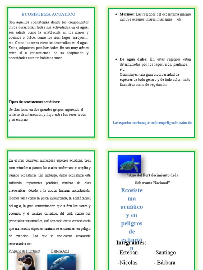 Diptico Higiene Personal | PDF | Ecosistema | Agua