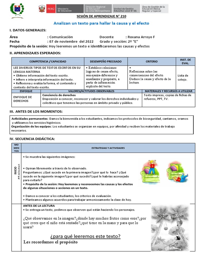 210 - SESIÓN - COM. - Causa y Efecto | PDF | Evaluación | Aprendizaje