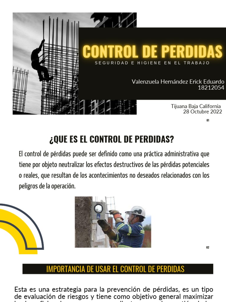 Control de Perdidas v2 1 | PDF | Seguridad y salud ocupacional | Liderazgo
