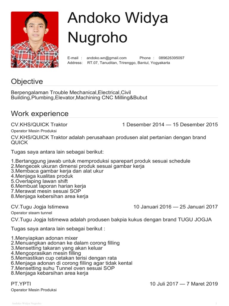 CV Saya | PDF | Teknologi & Rekayasa