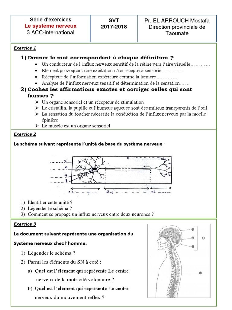 Exercices Système Nerveux | PDF | Système nerveux | Sens (physiologie)