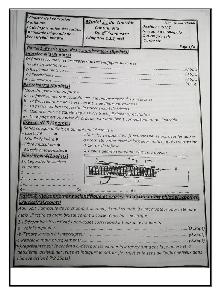 SVT 3AScol Correction Du Model 1du Control Continu N°3 | PDF
