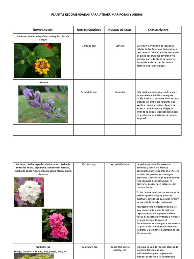 Plantas Recomendadas para Atraer Mariposas y Abejas | PDF | Flores ...