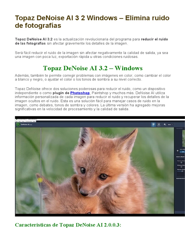 Mejora Fotos con Topaz DeNoise AI | PDF | Informática