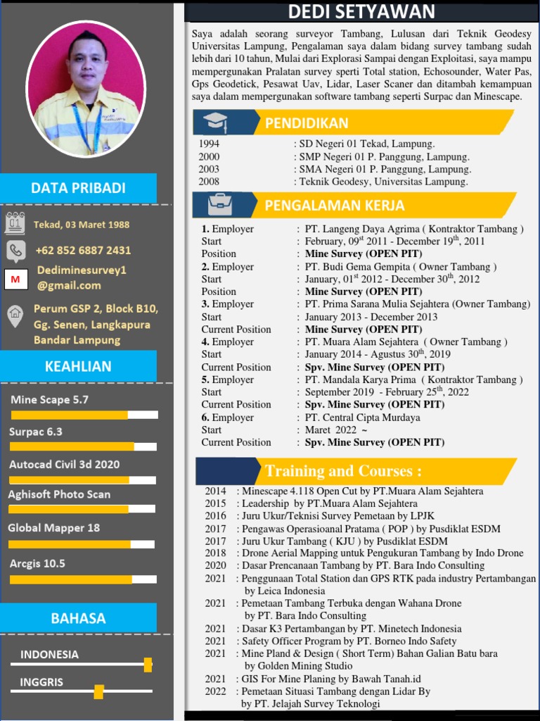 CV Dedi Setyawan | PDF