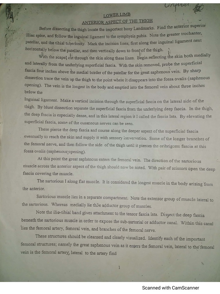 Anatomy Dissection Practical Manual | PDF