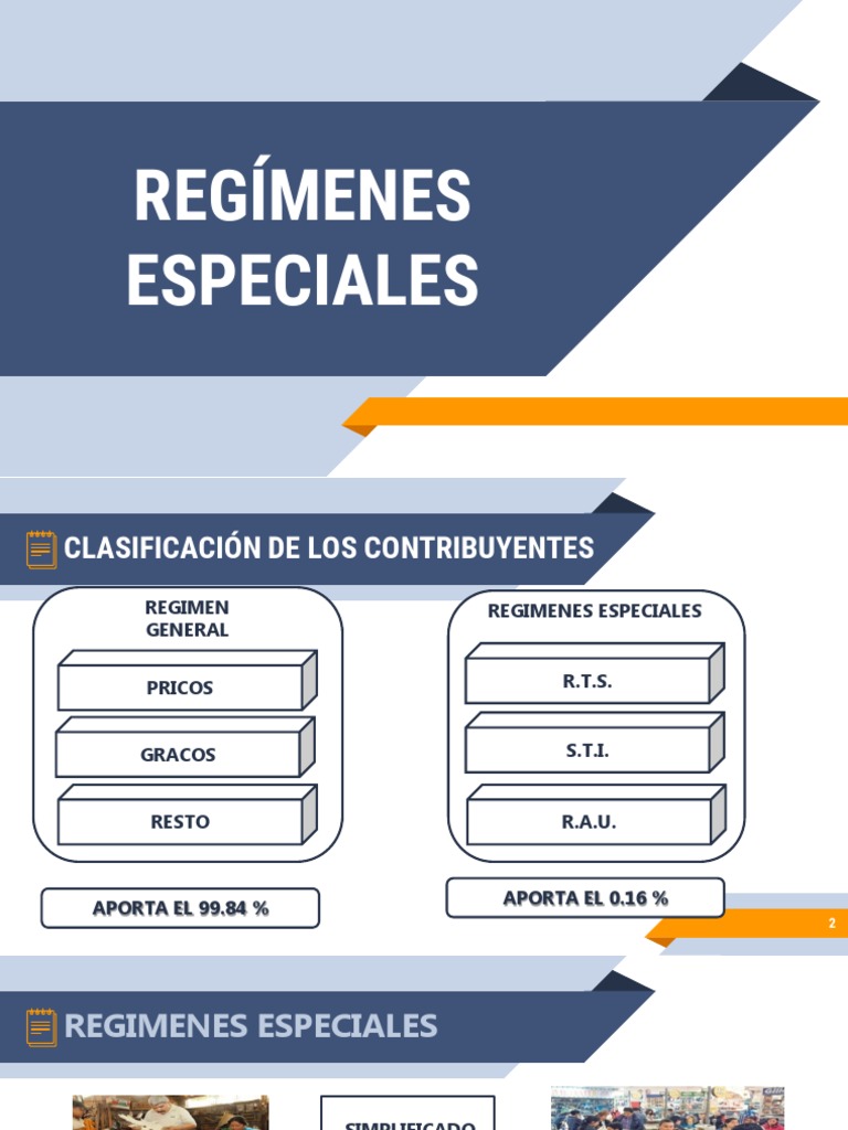 Tema 3 Regimenes Especiales Pdf Economias