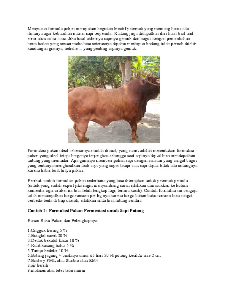 Ransum Sapi Potong | PDF