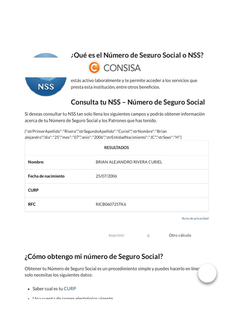 NSS - Consulta Tu Número de Seguro Social IMSS en Linea y Al Instante | PDF