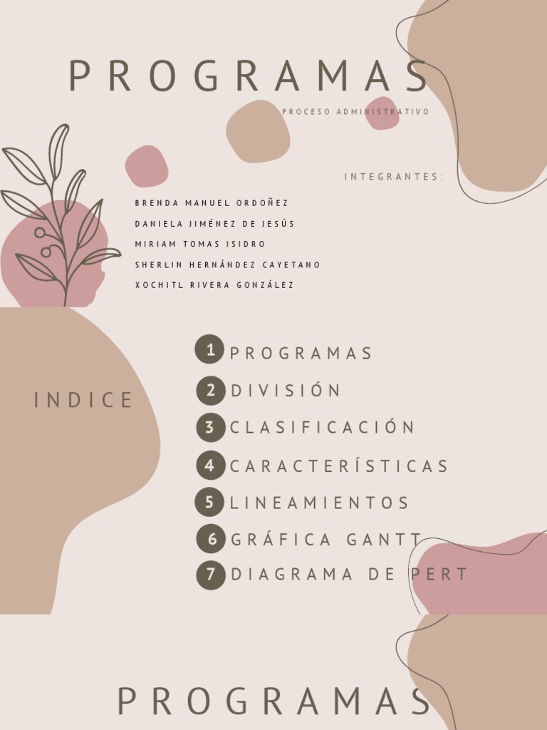 Presentacion Programas | PDF | Informática | Business
