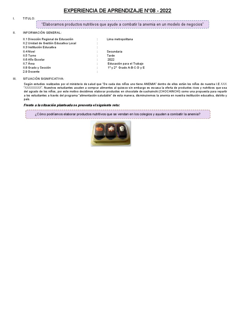 Experiencia 08 Vi Ciclo 1 Y 2 Grado 2022 Pdf Iniciativa