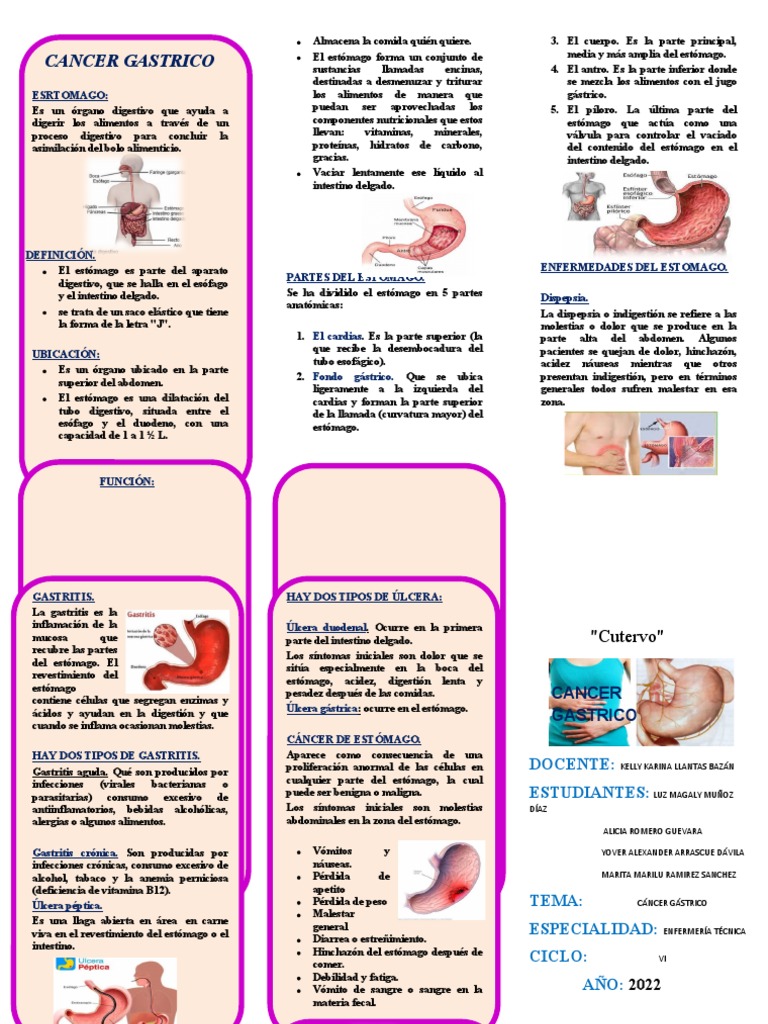 Cancer Gastrico | PDF | Estómago | Sistema digestivo humano