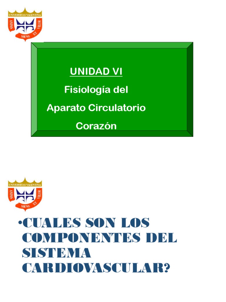 Cardiovascular y Corazón-2 | PDF | Sistema circulatorio | Corazón