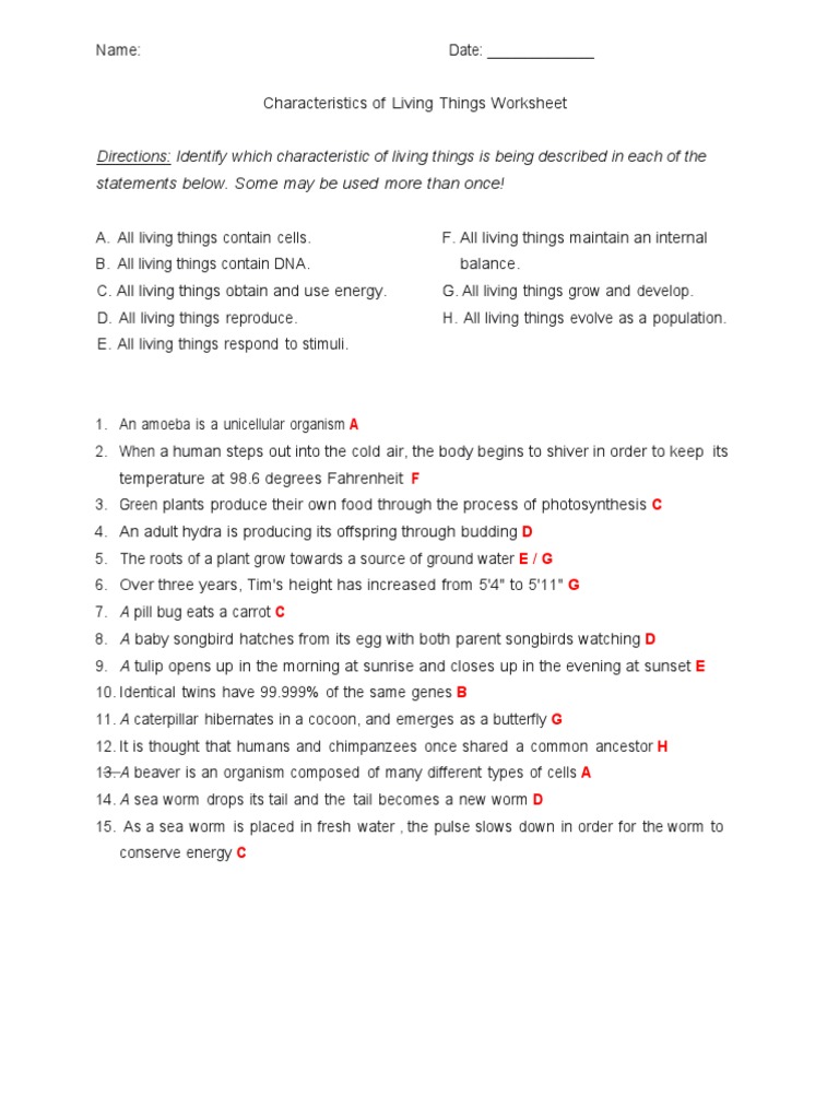 Biology Basics for Students | PDF