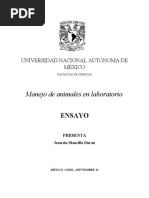 Ensayo - La Experimentación Animal | PDF | Pruebas en animales ...