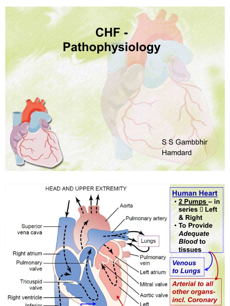 CHF Pathophysiology | PDF