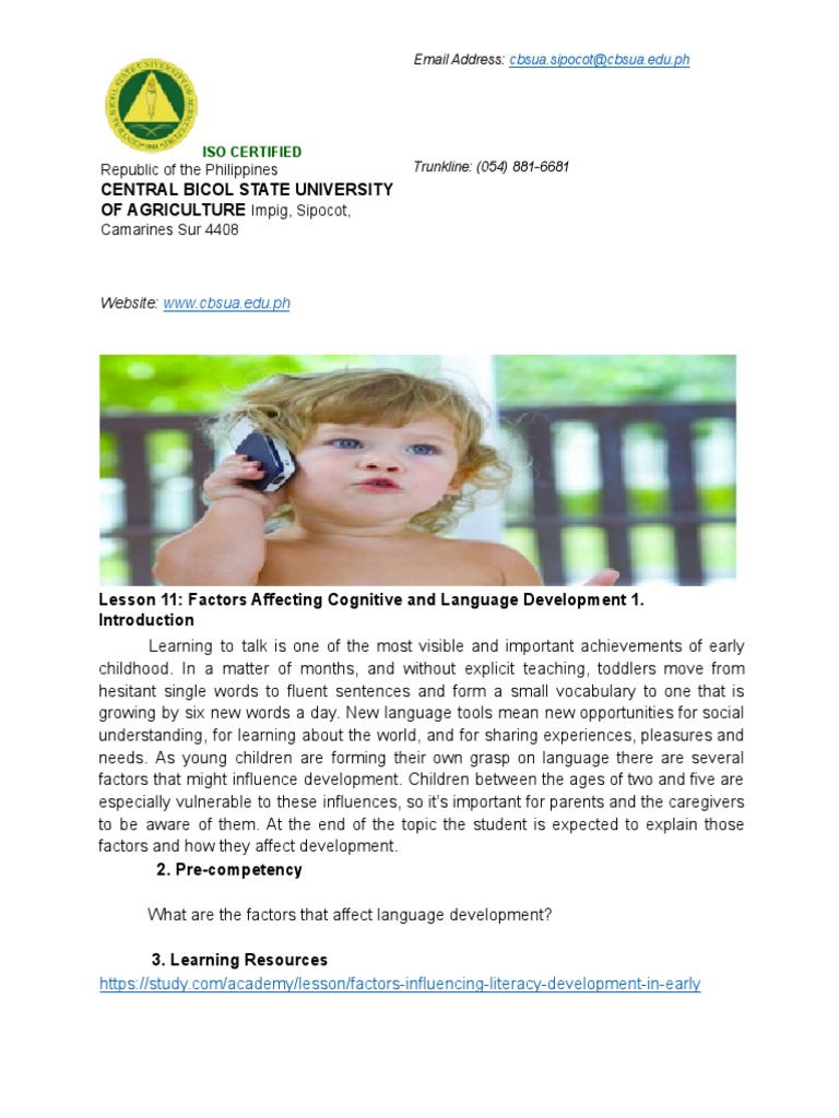 Lesson 11 Factors Affecting Cognitive and Language Development | PDF ...
