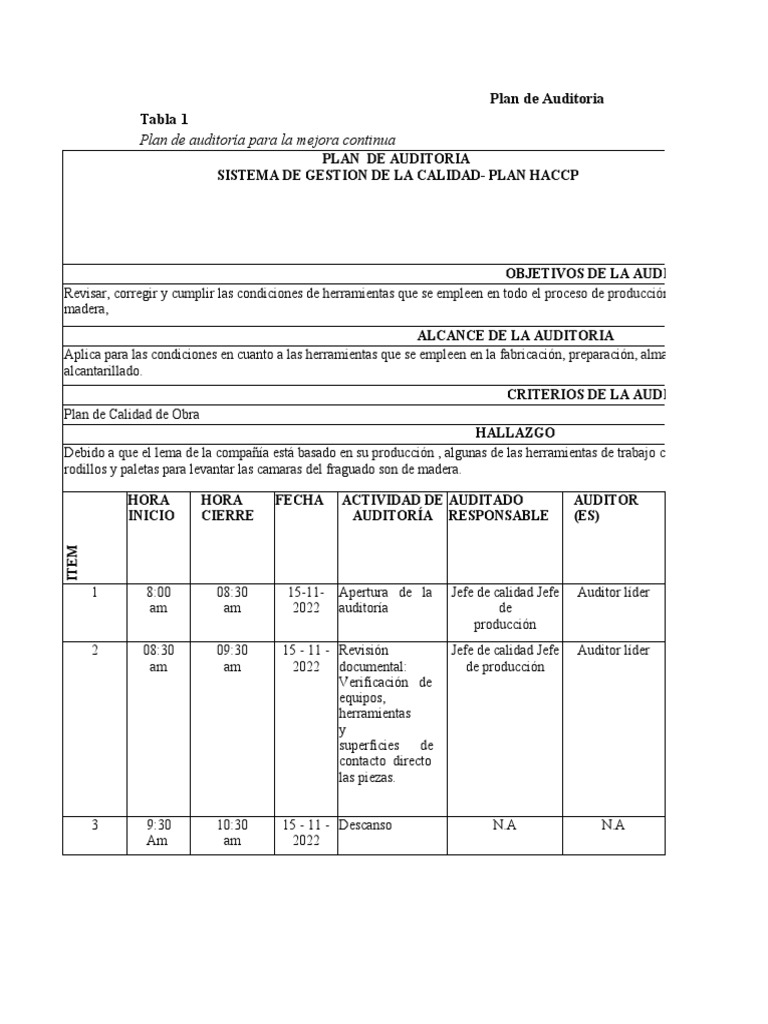 Plan de Auditoría ISO 19011 | PDF | Auditoría | Análisis de Riesgo y Puntos Críticos de Control