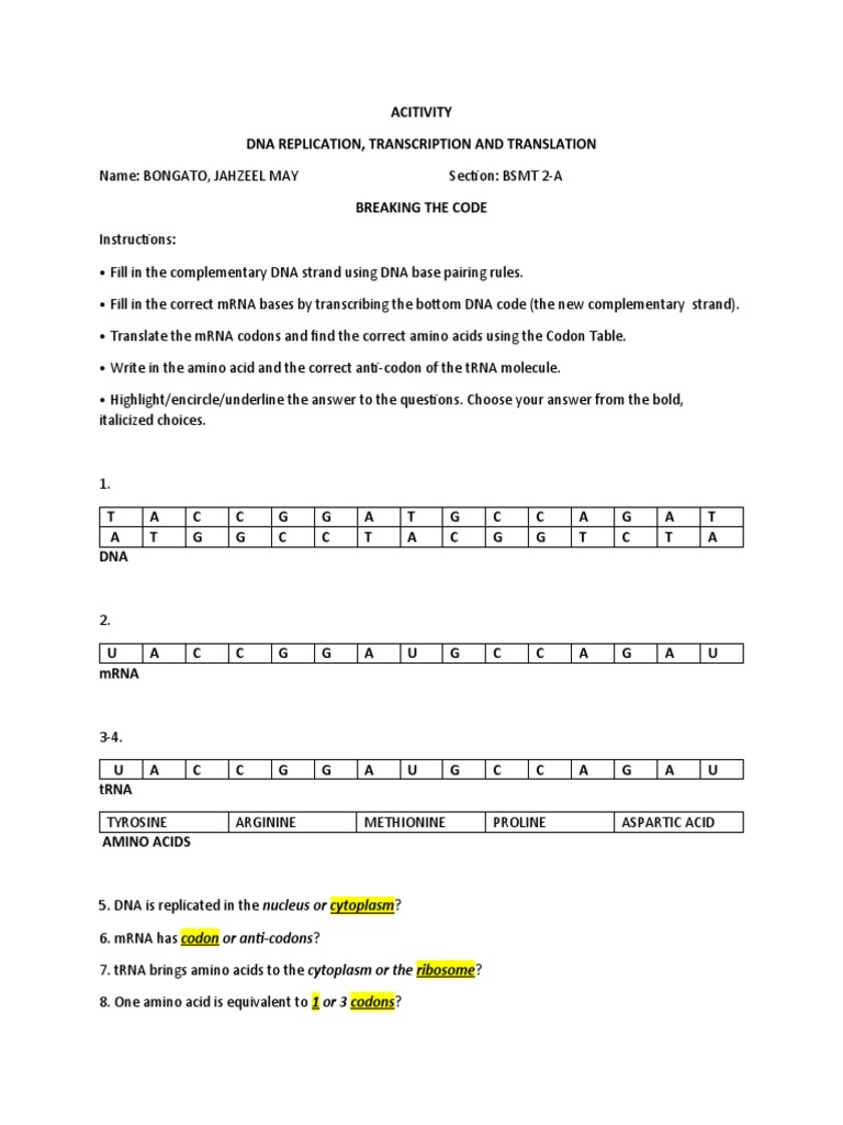 DNA Replication, Transcription, Translation Worksheet | PDF ...