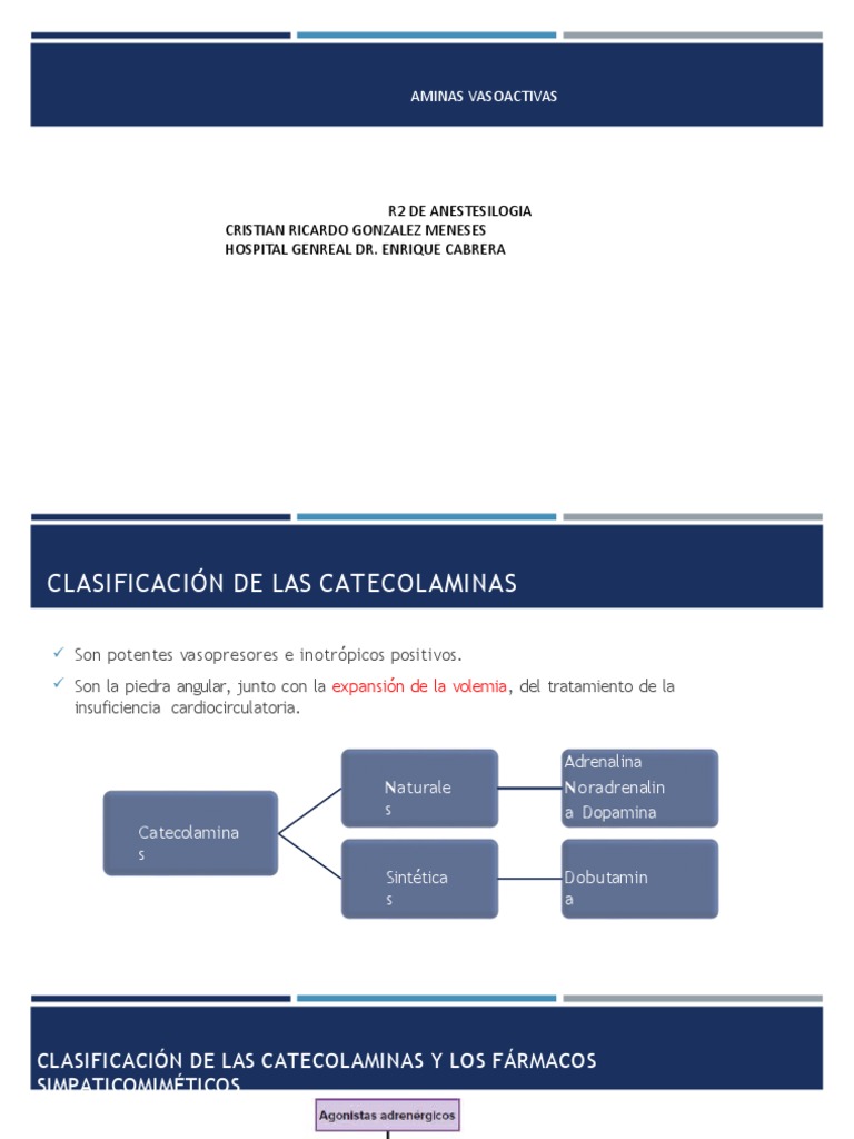 Fármacos Vasoactivos Richy | PDF | Bioquímica | Química