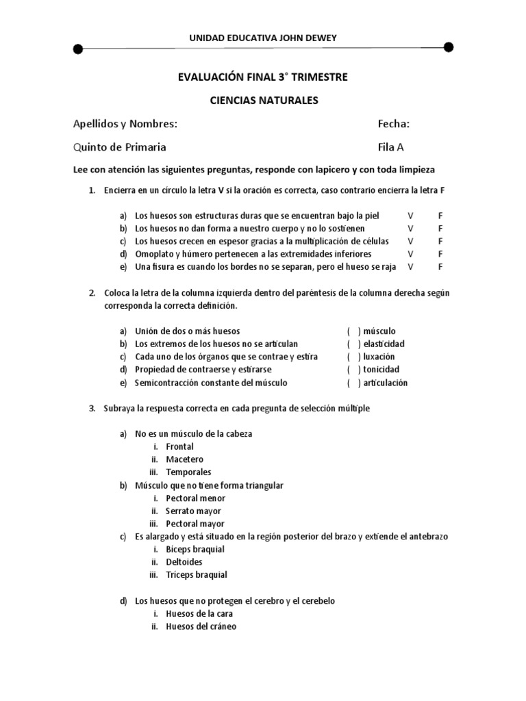 Final Eval. 3° T. C. Naturales 5° | PDF | Músculo esquelético | Sistema musculoesquelético