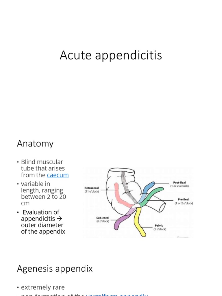 Pathology of Appendix | PDF | Medical Specialties | Anatomy