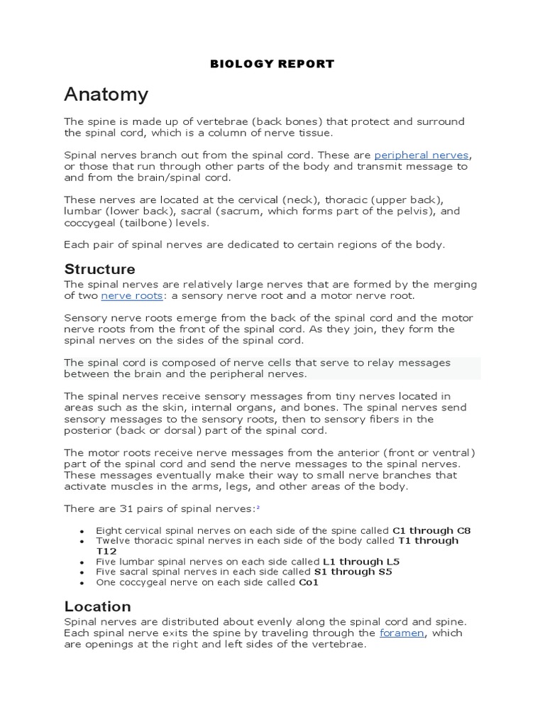 Biology Report | PDF