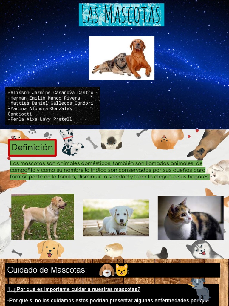 Las Mascotas | PDF | Mascota | Soledad
