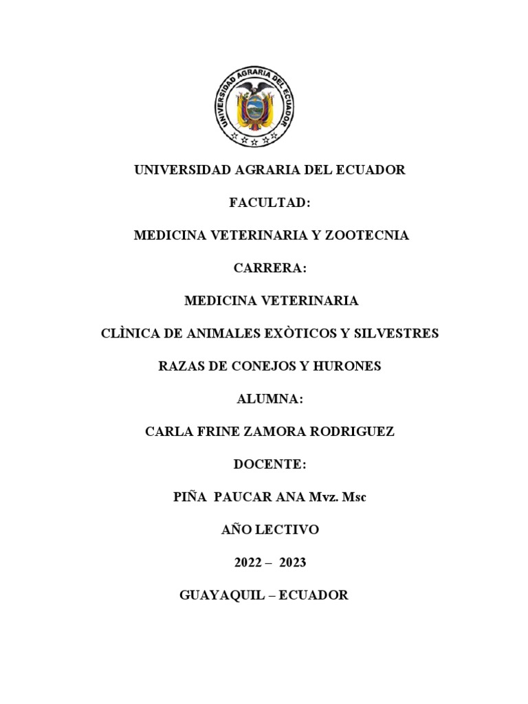 Razas de Conejos y Hurones | PDF