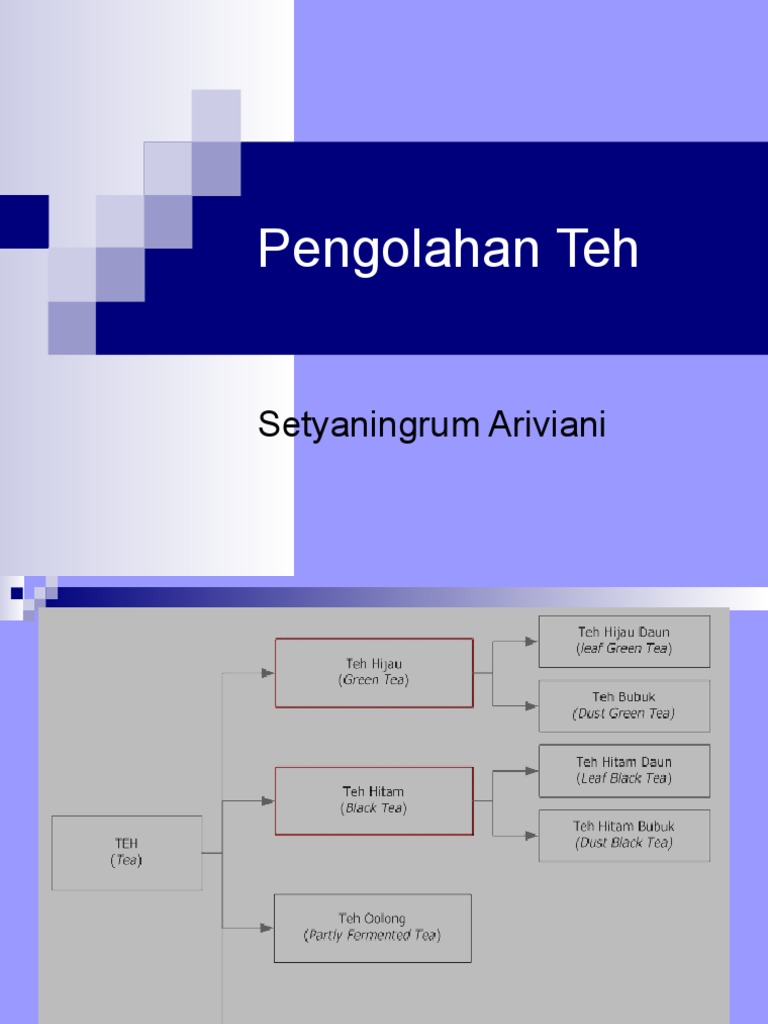 Pengolahan Teh | PDF