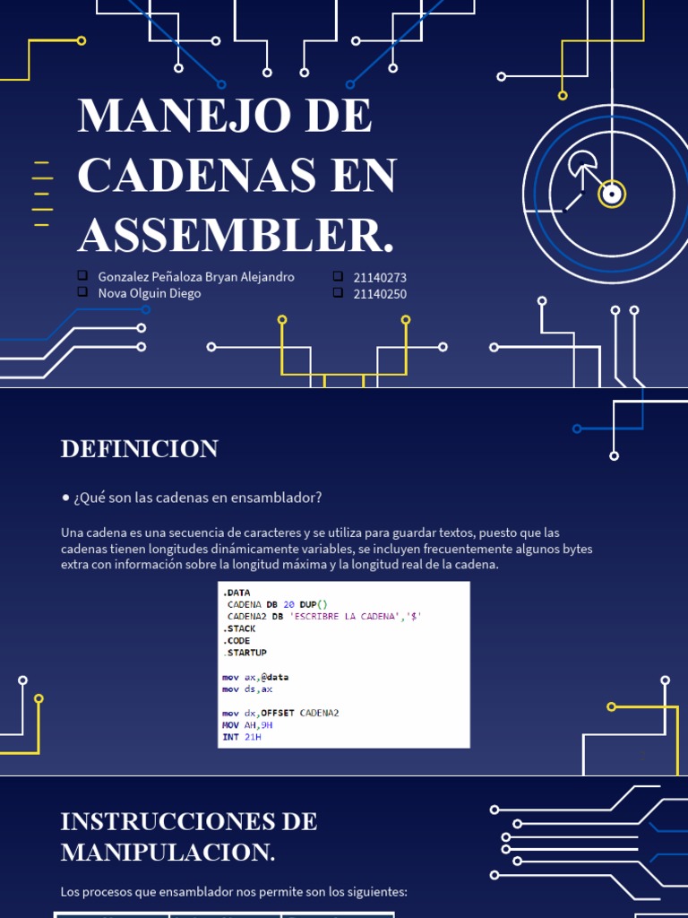 Manejo de Strings | PDF | Lenguaje ensamblador | Software