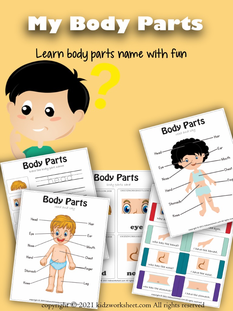 10.body Parts Activity Sheet | PDF