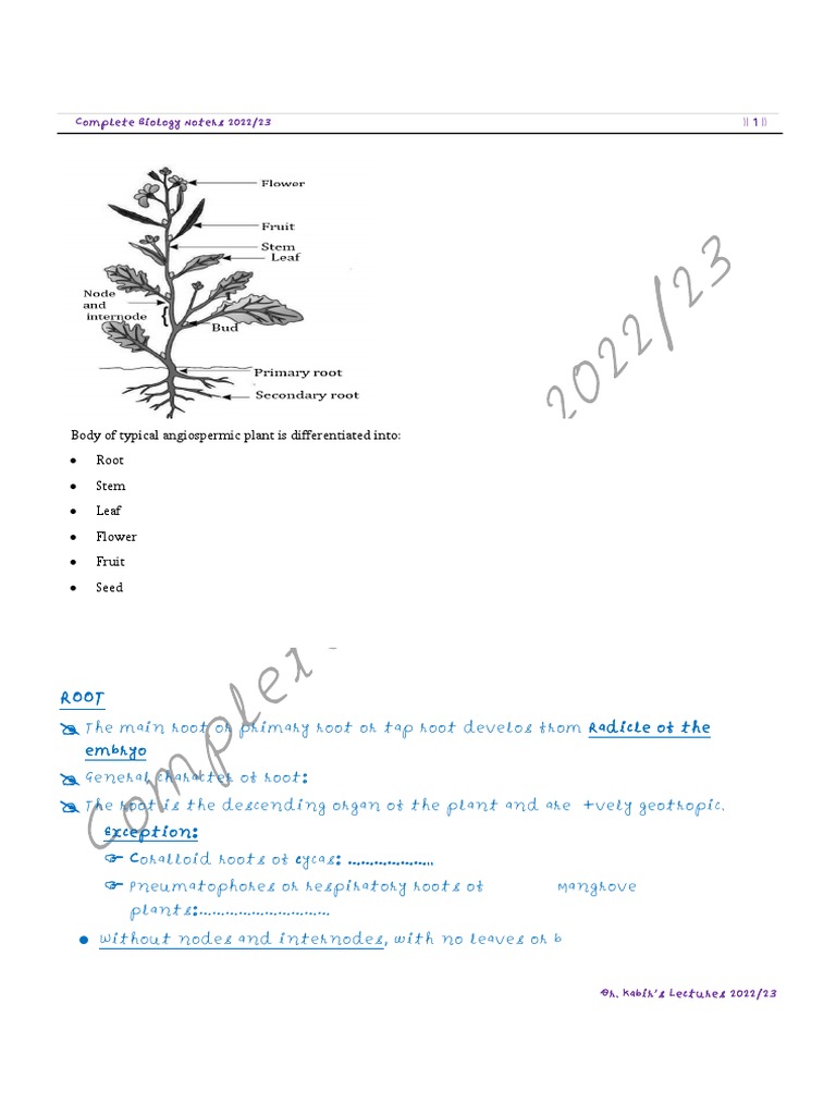 Morpho Work Book 2077 Final Copy 2 | PDF | Leaf | Flowers